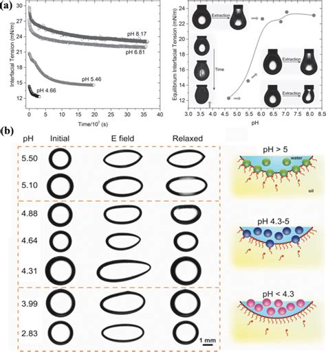A Ph Dependent Assembly Of Npss At The Water Oil Interface B