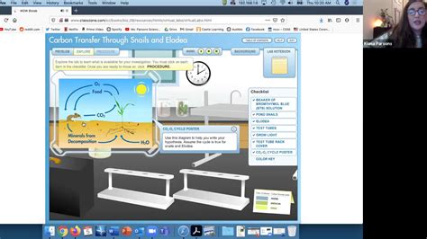 Unit 3 Day 7 Lab Carbon Transfer Through Snails And Elodea Virtual Lab