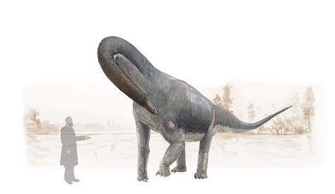 Spinophorosaurus By Hyrotrioskjan On Deviantart