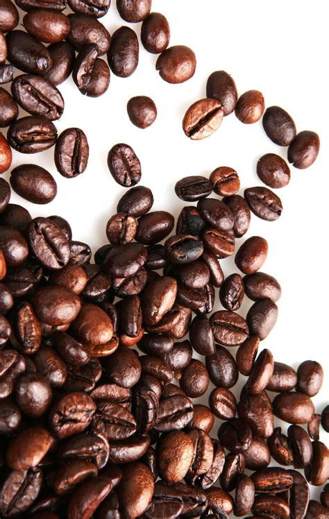 History Of Java Artofit