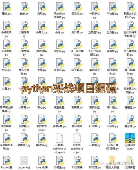 高考期间， 整理了70个python实战项目学习资料源码电子书python 项目实战电子书 Csdn博客