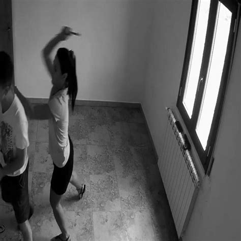 Weapon Detection Object Detection Model V5 Merged With Pistols