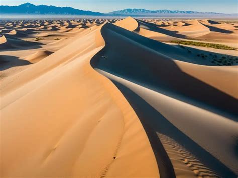 La Economía De Los Desiertos Recursos Y Desafíos De Las Zonas áridas
