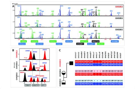 Evaluation Of The Tridecaplex Panel For Haplotype Analysis And The