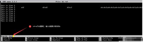 how to use linux nano command linux operation and maintenance php cn