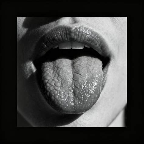 Free Tongue Texture Close Up Image Macro Tongue Texture Download