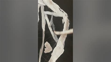 Lyrics Butterflu Youtube