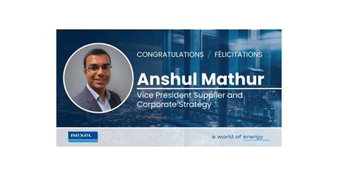 anshul mathur appointed vice president supplier and corporate strategy