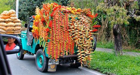 Yipao Willys Jeep Festival Bnb Colombia Tours