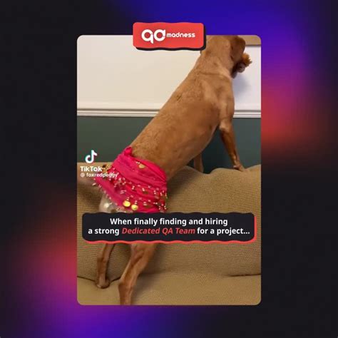 Qa Madness On Linkedin Qamadness Softwaretesting Qa Qateam Dedicatedqa Teamwork