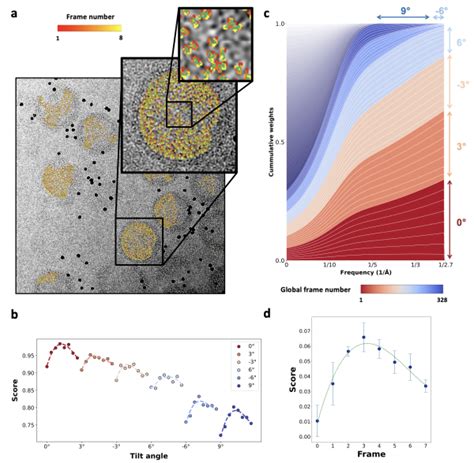 Nextpyp A Comprehensive And Scalable Platform For Single Particle Cryo Et Bartesaghi Lab