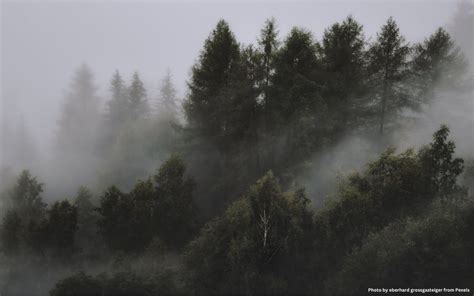 Time Delayed Causal Network Analysis Of Meteorological Variables And