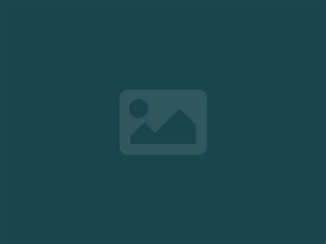 Meet Our Team Of Dedicated Estate Agents Wright Marshall