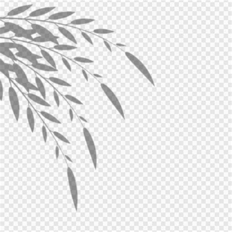 Premium Vector Floral Background Design