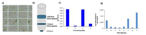 Chloroplast Isolation Kit Bn00703 Assay Genie