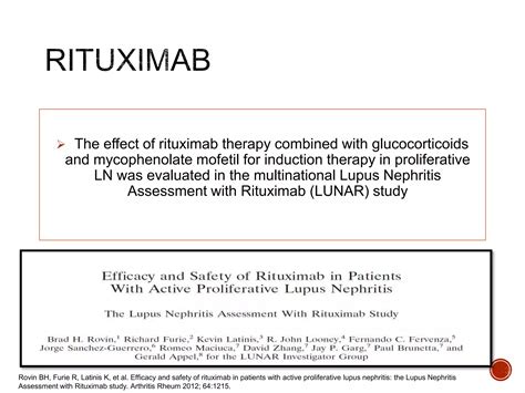 Therapy Of Focal Or Diffuse Proliferative Lupus Nephritis Mohd
