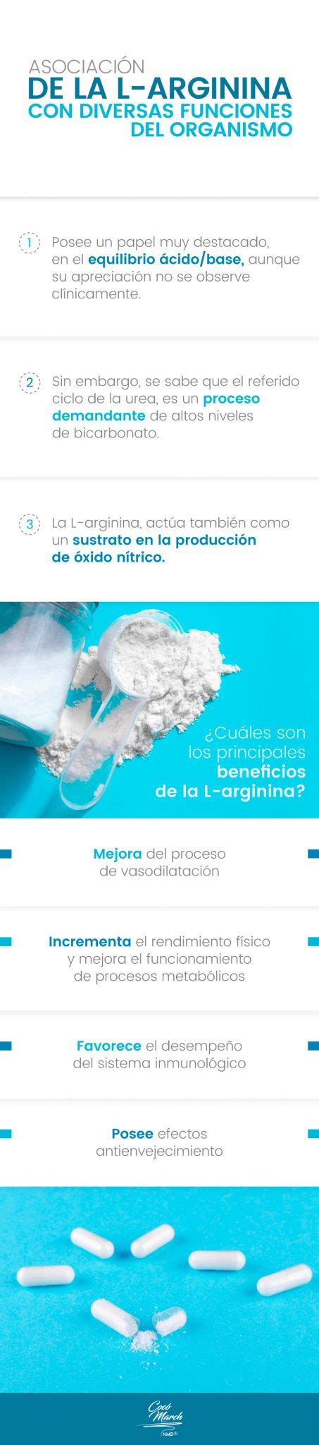 4 Beneficios De La L Arginina Para El Cuerpo Y Cómo Usarla Coco March