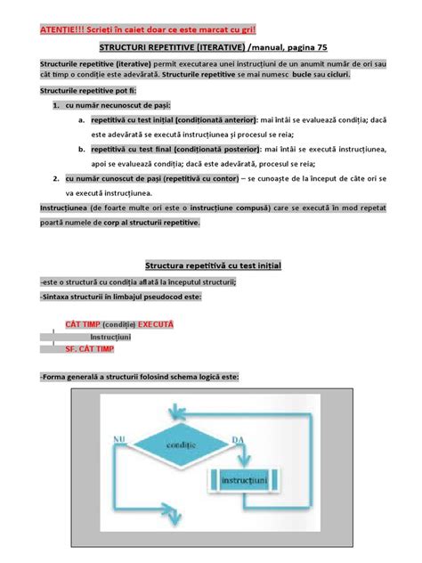 Structuri Repetitive Pdf