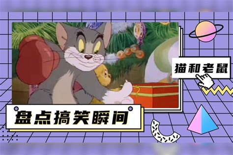 猫和老鼠：盘点剧中搞笑瞬间，老鼠打拳竟吊打汤姆，实在是离谱啊瞬间老鼠汤姆