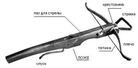 Устройство арбалета. Конструкция арбалета, спусковой механизм арбалета ...
