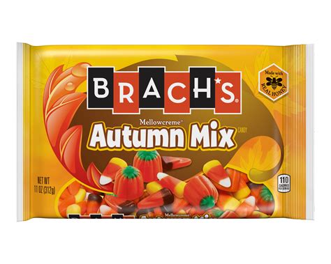 Brachs Assorted Flavors Autumn Mix Candy 11 Oz