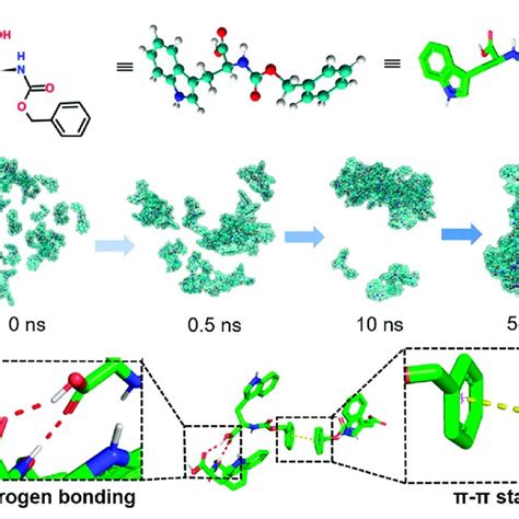 A Molecular Dynamics Simulation In Water Environment Within 50 Ns Download Scientific