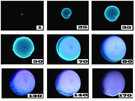 result of frame by frame processing of filming of the process of