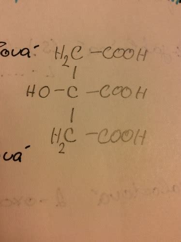 Kyseliny Karboxylové Flashcards Quizlet
