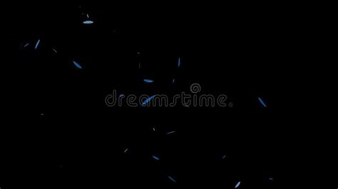 Color Feather Falling Particles Motion Graphics Stock Footage Video