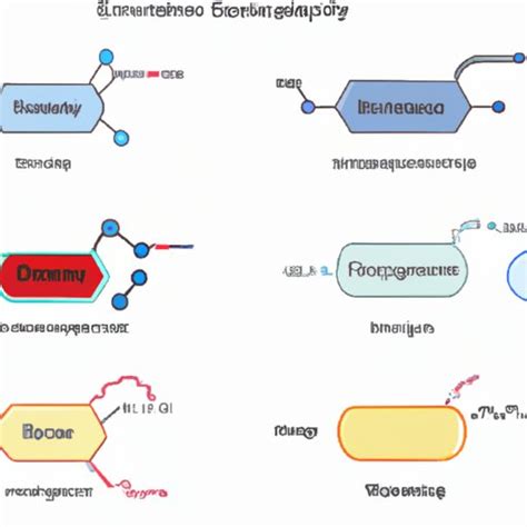 Exploring How Enzymes Work To Catalyze Reactions The Enlightened Mindset