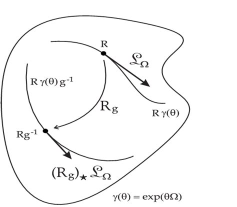 Right Translation Rg Of A Left Invariant Vector Field L Ω