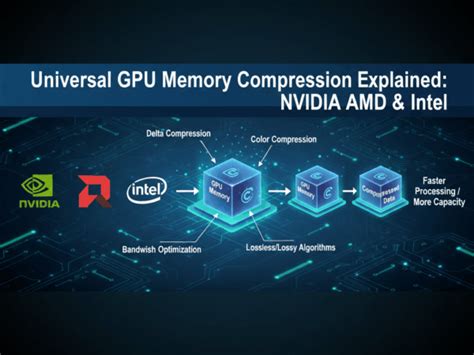 M2 Ssd Type 2230 Vs 2242 Vs 2280 Performance And Compatibility