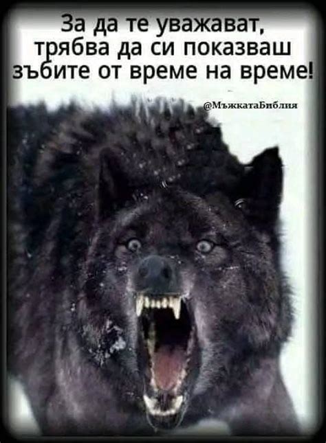 КАРТИЧКИ И ПОЖЕЛАНИЯ ЗА ВСЕКИ ПОВОД