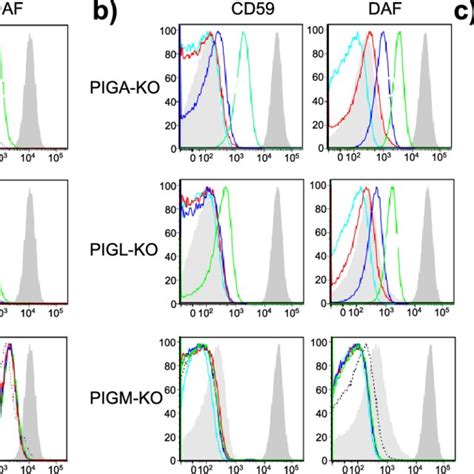 Gpi Structure A Core Structure Found In All Gpis B Common