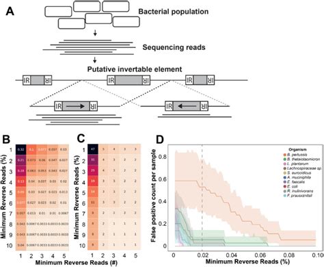 Intragenic Dna Inversions Expand Bacterial Coding Capacity Pmc