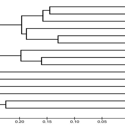 Upgma Dendrogram Based On Nei And Lis Coefficient Of Similarity Matrix