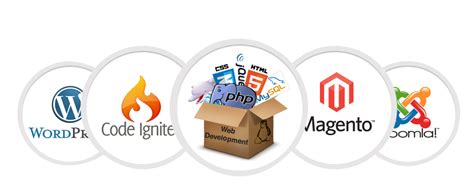 Web Services In Vellore Id 14977492497