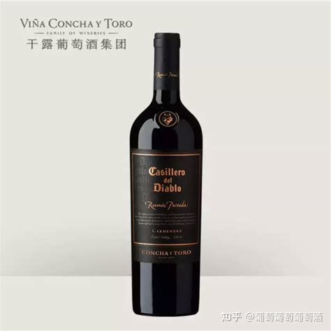 2021年智利葡萄酒推荐 盘点我喝过的50 2000元的智利红酒（干露红魔鬼、蒙特斯、活灵魂、魔爵红、桑雅） 知乎