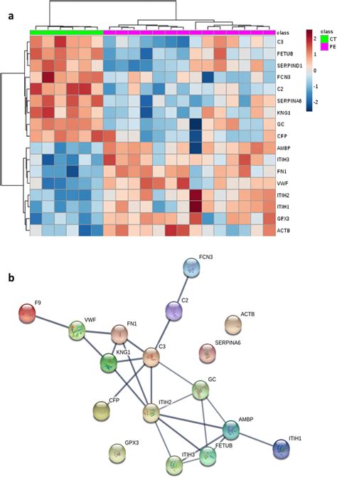 a unsupervised hierarchical clustering based on the top 17 proteins