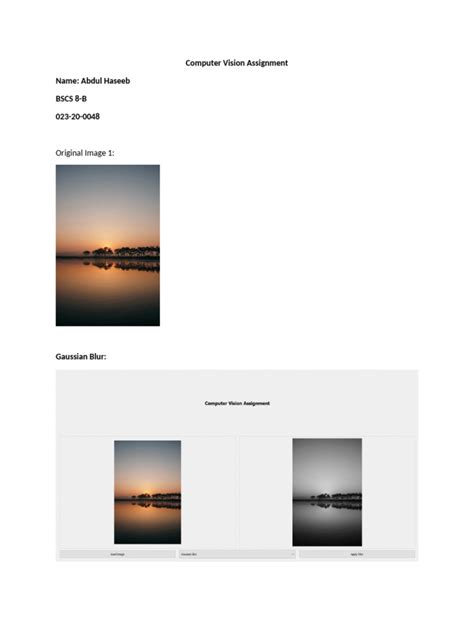 Computer Vision Assignment Pdf