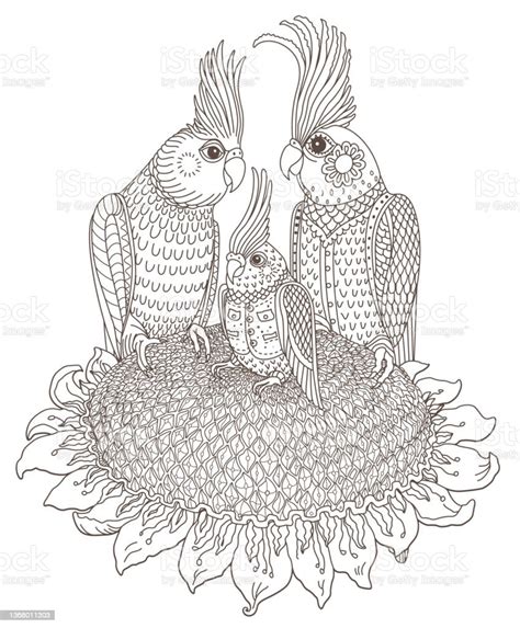 벡터 동화 코렐라 앵무새 가족은 해바라기에서 씨앗을 먹고 성인과 어린이를 위한 색칠 공부 페이지 식물에 대한 스톡 벡터 아트 및 기타 이미지 Istock