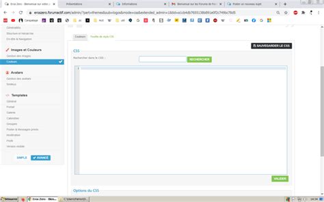 css ne s affiche pas