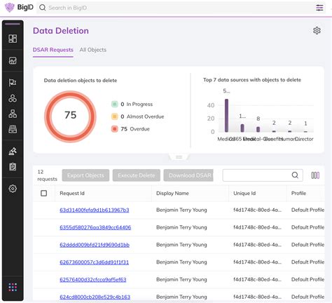 Data Lifecycle Management BigID