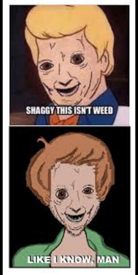 Scooby Doo Drug Memes Daily Saucy Memes 696 Youtube