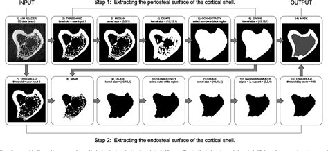 Figure 1 From Automatic Segmentation Of Cortical And Trabecular