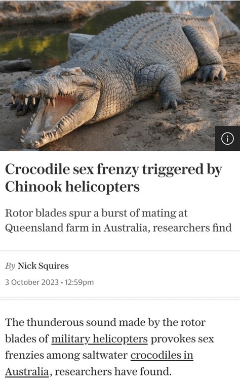 Crocodile Sex Frenzy Triggered By Chinook Helicopters Rfunny