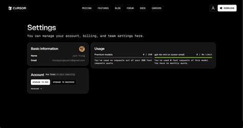 第一次注册cursor用的还是谷歌邮箱额度怎么才250 搞七捻三 Linux Do