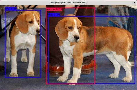 Yolo Object Detection With Keras Yolo3
