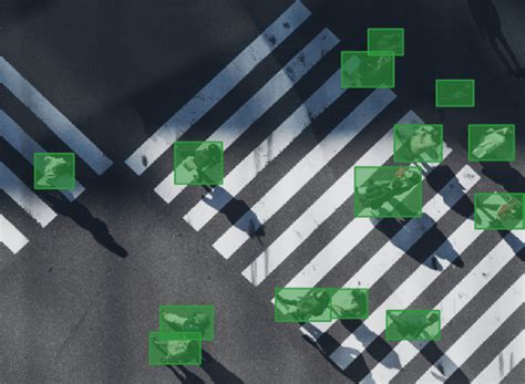 Get Started With Training A YOLOv8 Object Detection Model