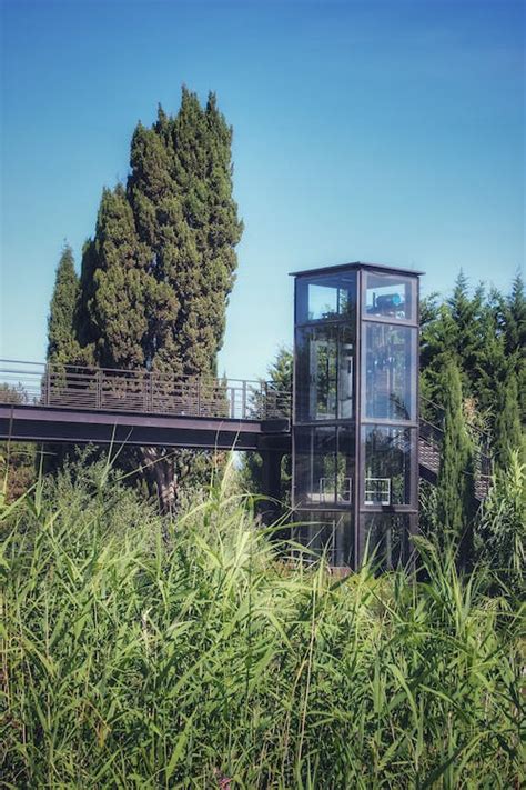 새 비행과 푸른 잔디 필드 · 무료 스톡 사진